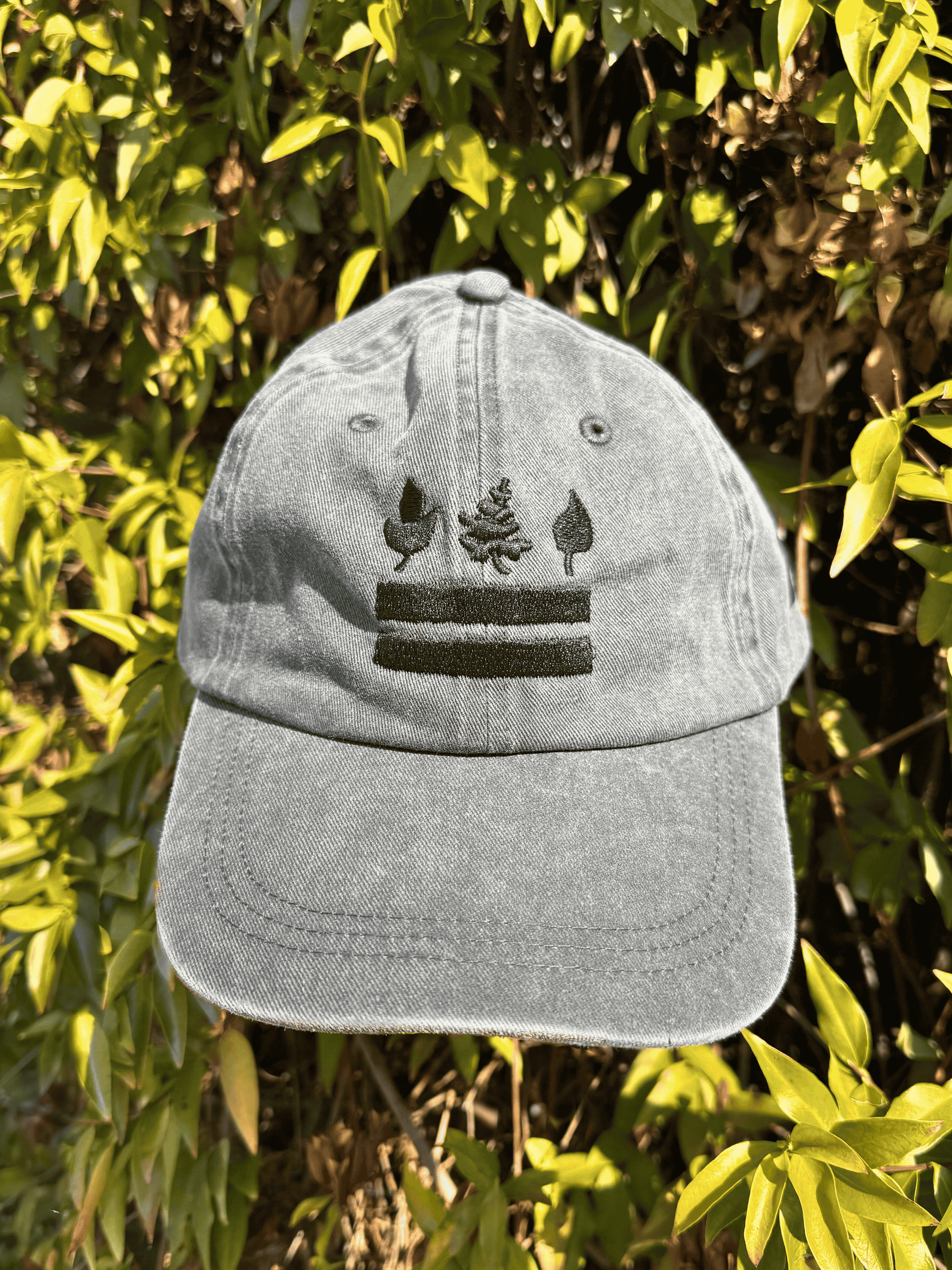 Hat - DC Flag – Casey Trees