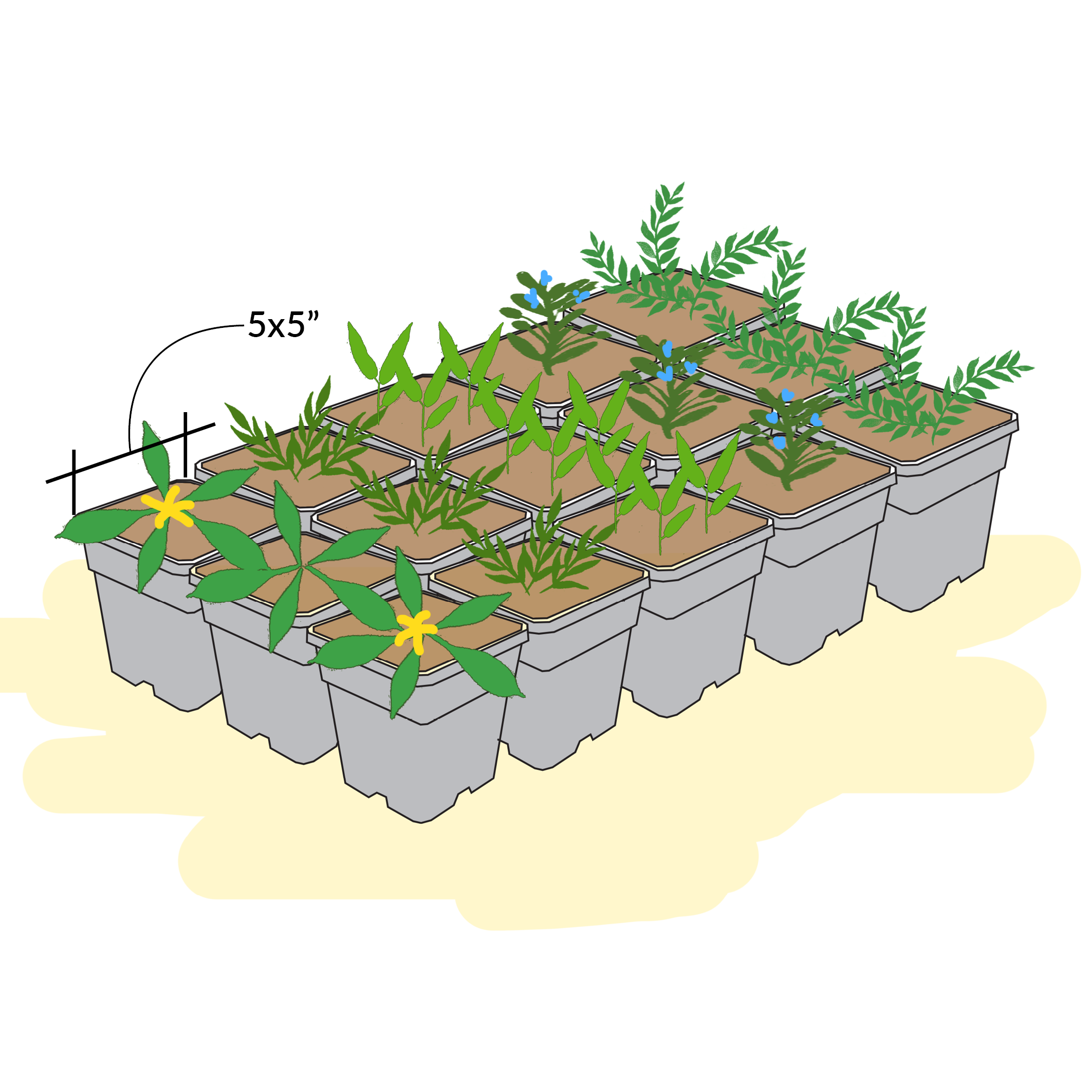 Native Garden Starter Kit – Casey Trees